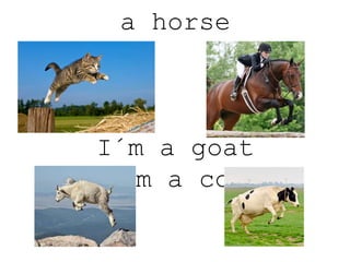 Describing farm animals | PPT