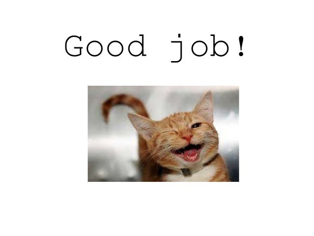 Describing farm animals