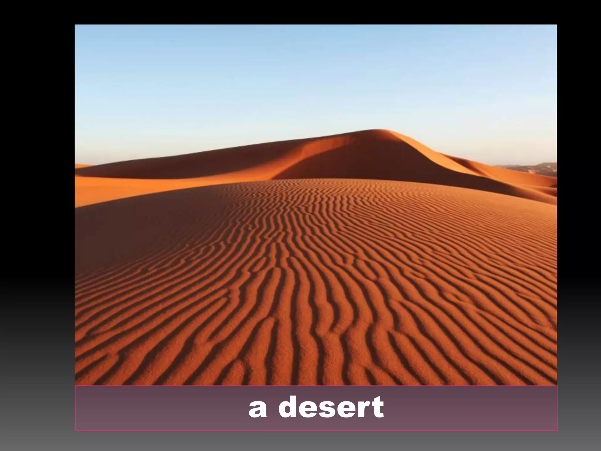 Describing landscapes- Elementary Vocabulary Practice | PPTX