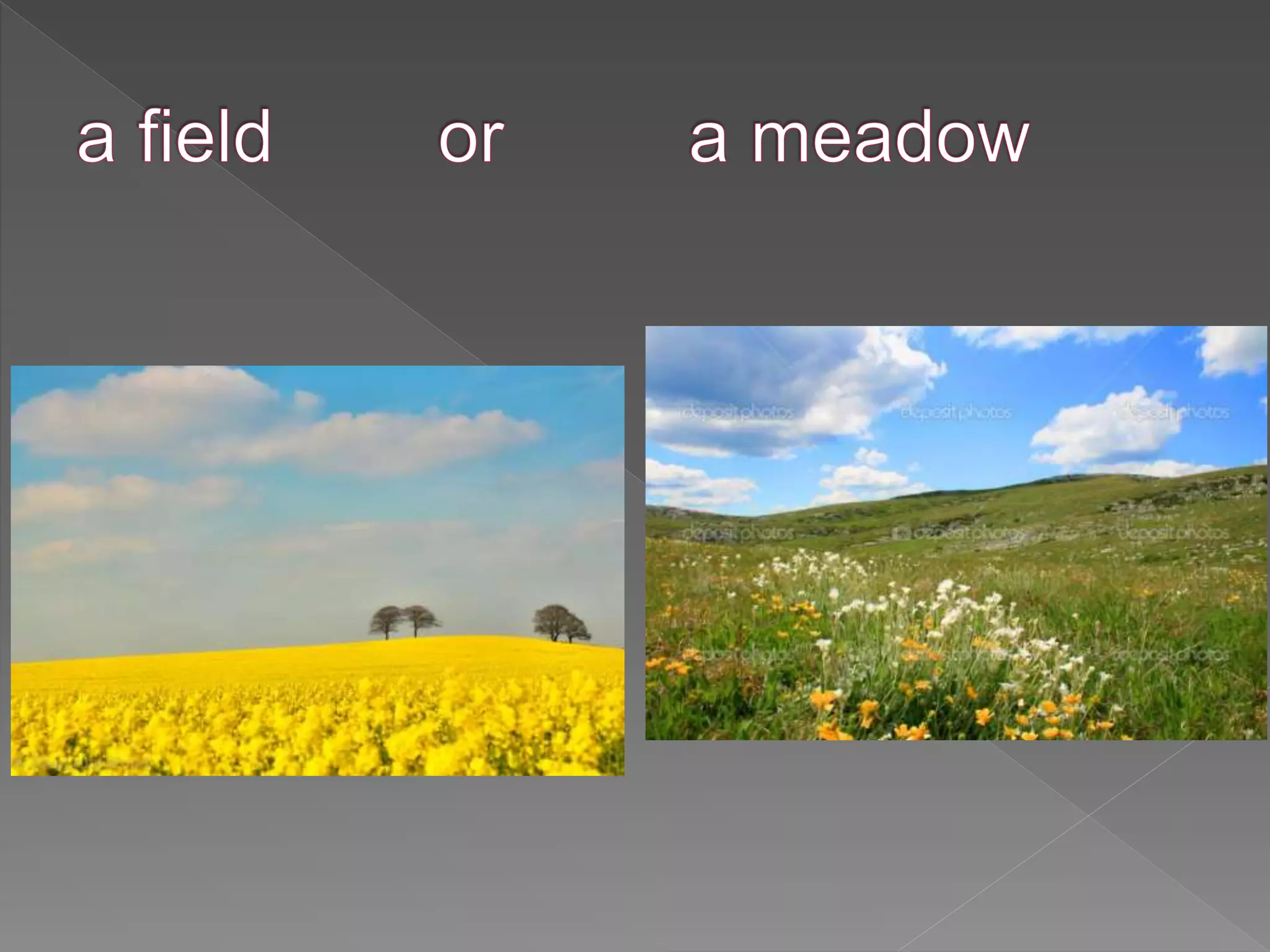 Describing landscapes- Elementary Vocabulary Practice | PPTX