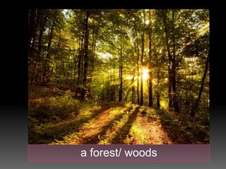 Describing landscapes- Elementary Vocabulary Practice | PPTX