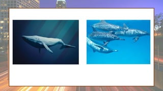 DESCRIBING MOTION.pptx