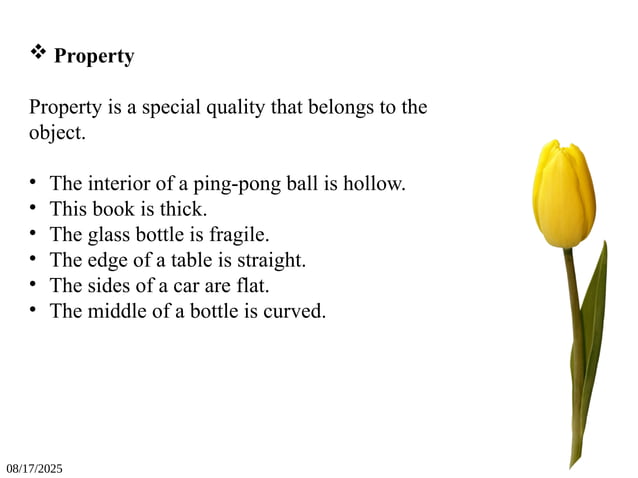 Describing Objects, shapes, and measurement | PPTX