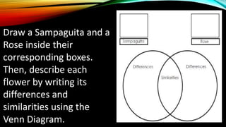 Describing One’s Drawing.pptx