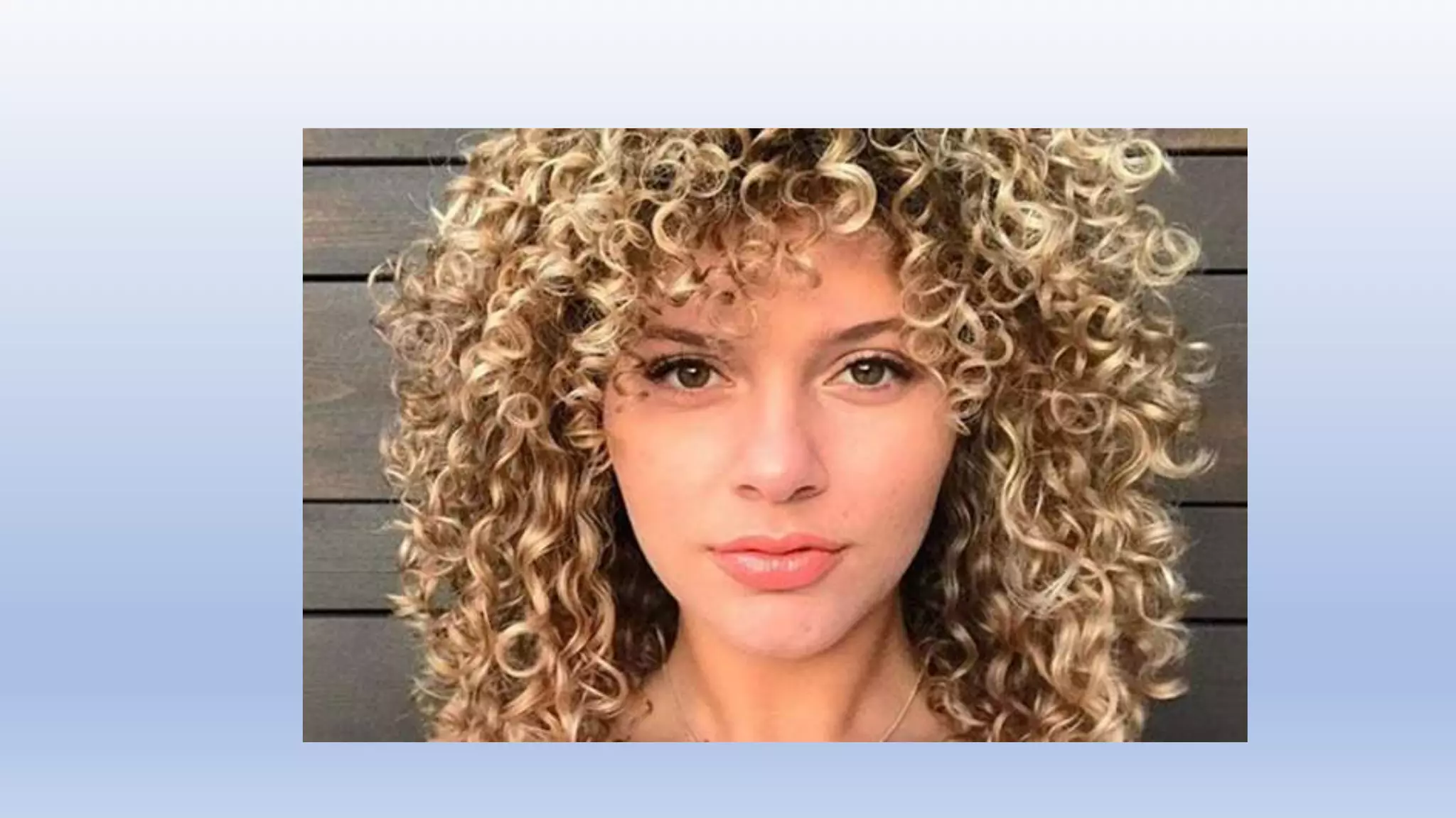 describing ony pics.pptx