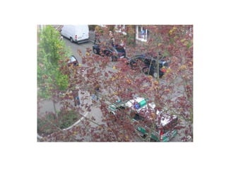 Describing Past Events | PPT