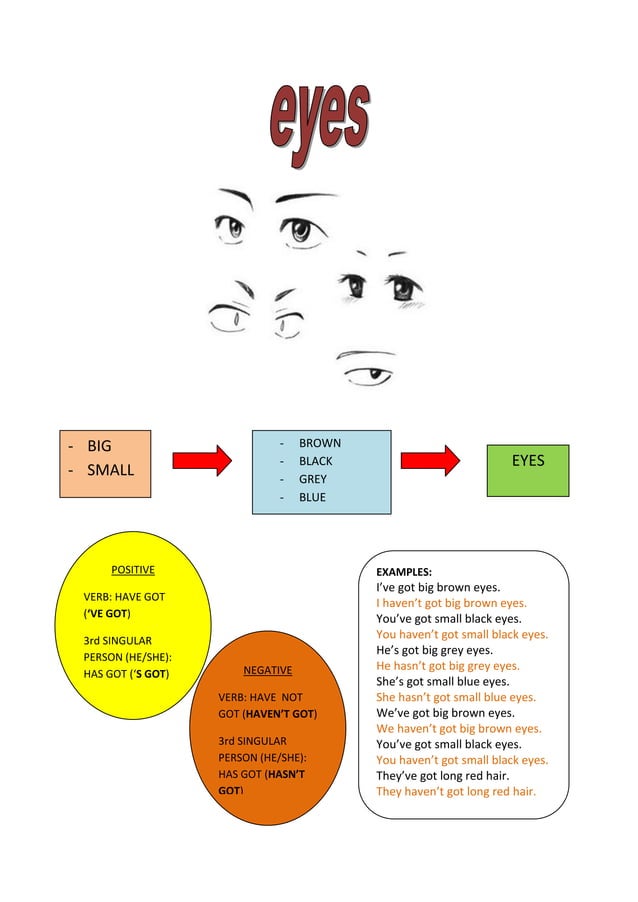 Describing people face and head | PDF