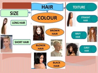 Describing people - adjectives | PPTX