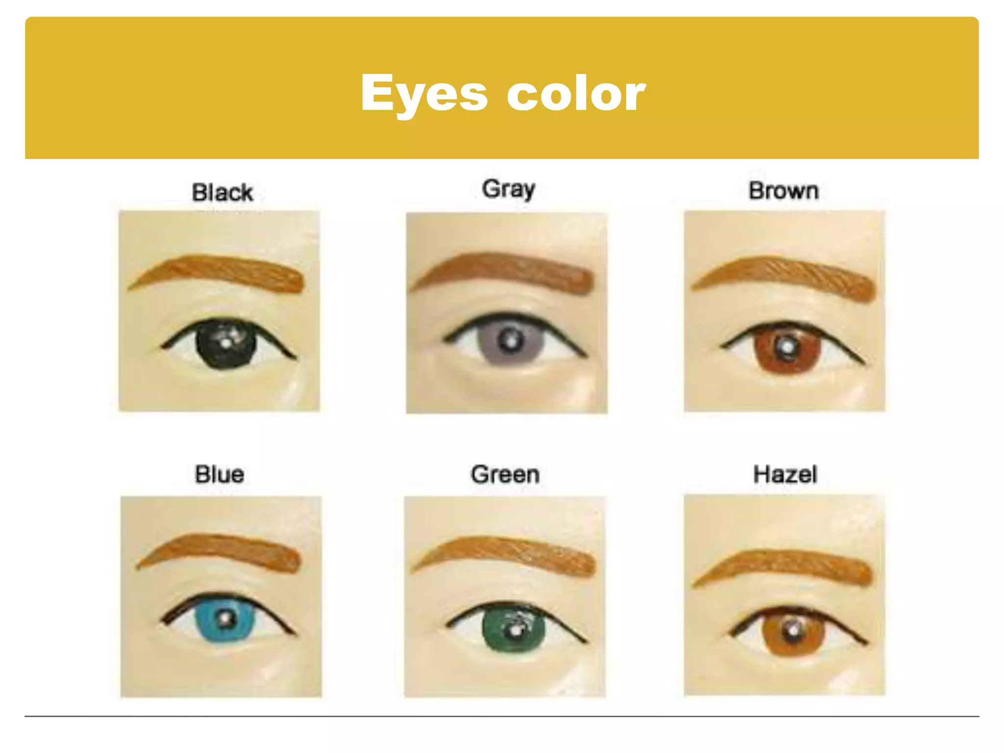 Describing personal appearance | PPT