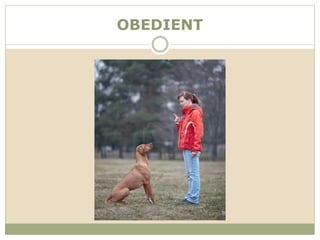 Describing personality | PPT