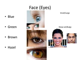 Describing physical appearance | PPTX