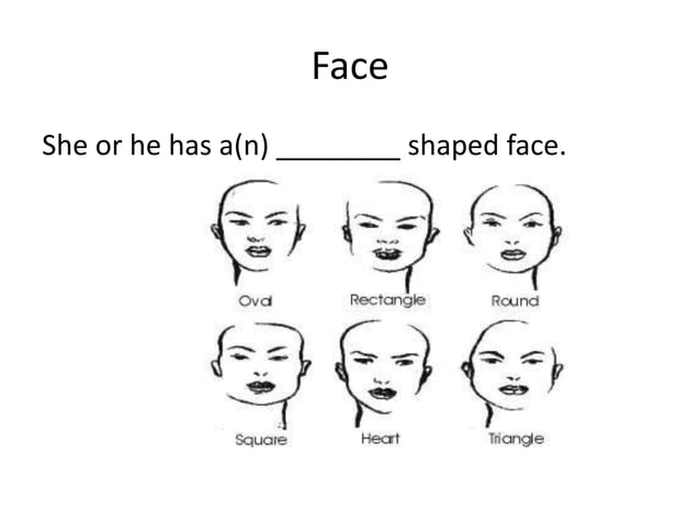 Describing physical appearance | PPTX