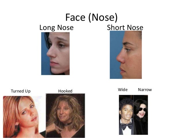 Describing physical appearance