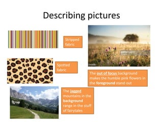 Describing pictures | PPTX