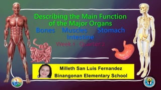 Describing the Main Function of the major organs wk 1 q 2.pptx