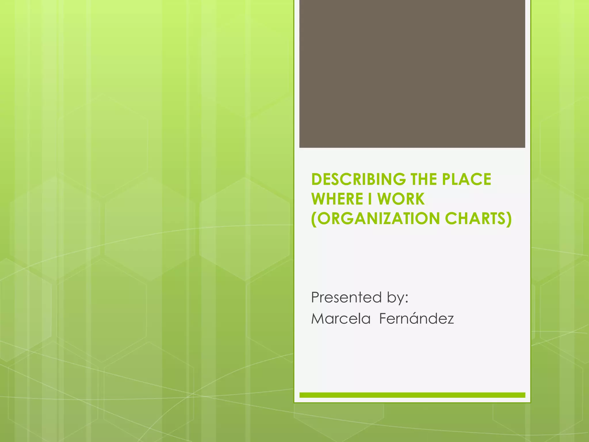 Describing the place where i work (organization charts) | PPTX