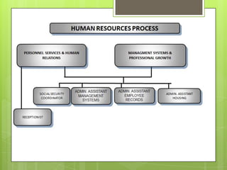 Describing the place where i work (organization charts) | PPTX