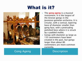 Describing Things | PPTX