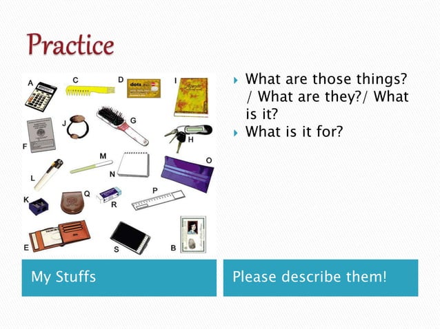 Describing Things | PPTX