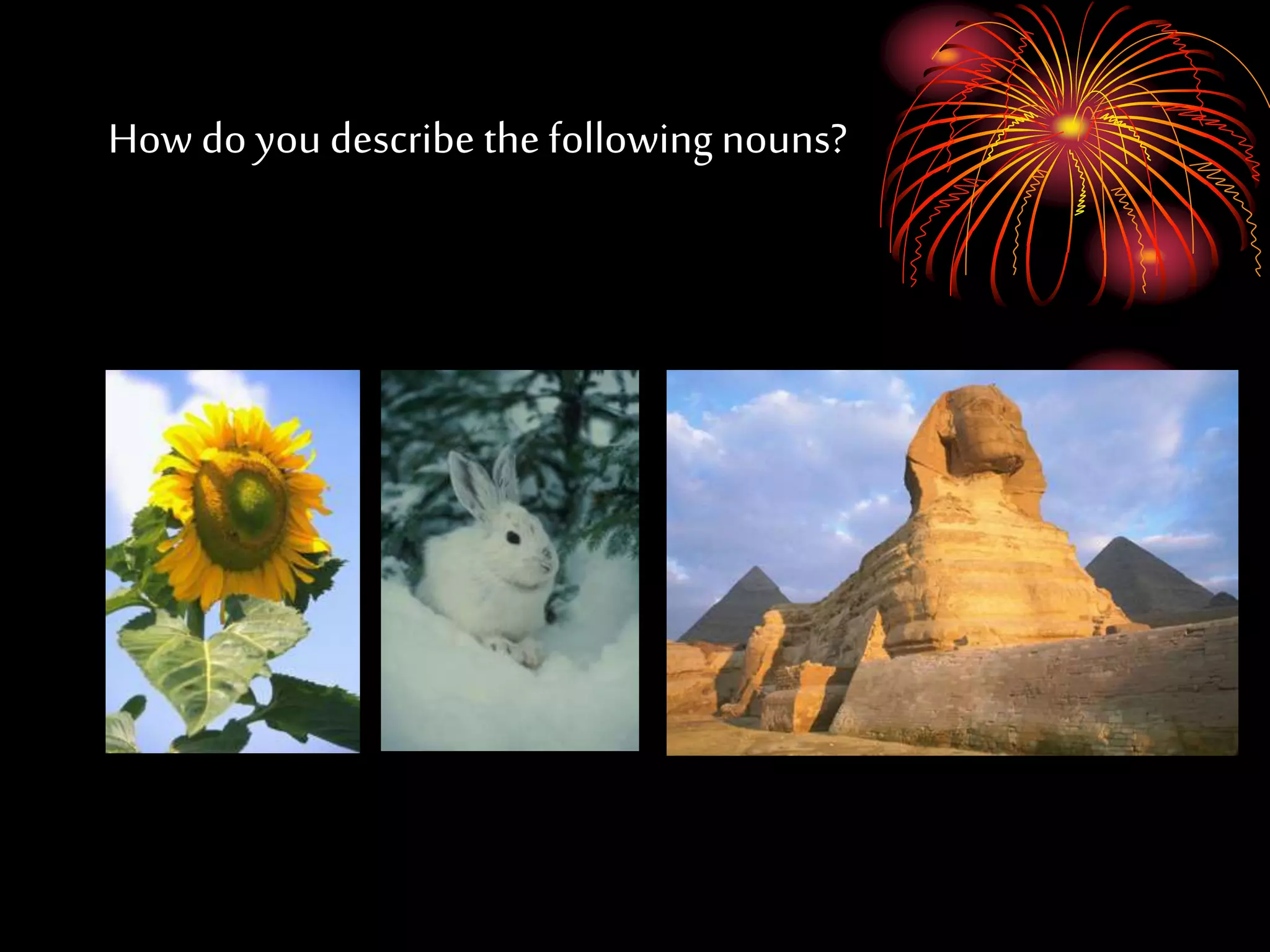 Describing Things.pptx