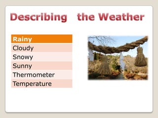 Describing Weather | PPTX