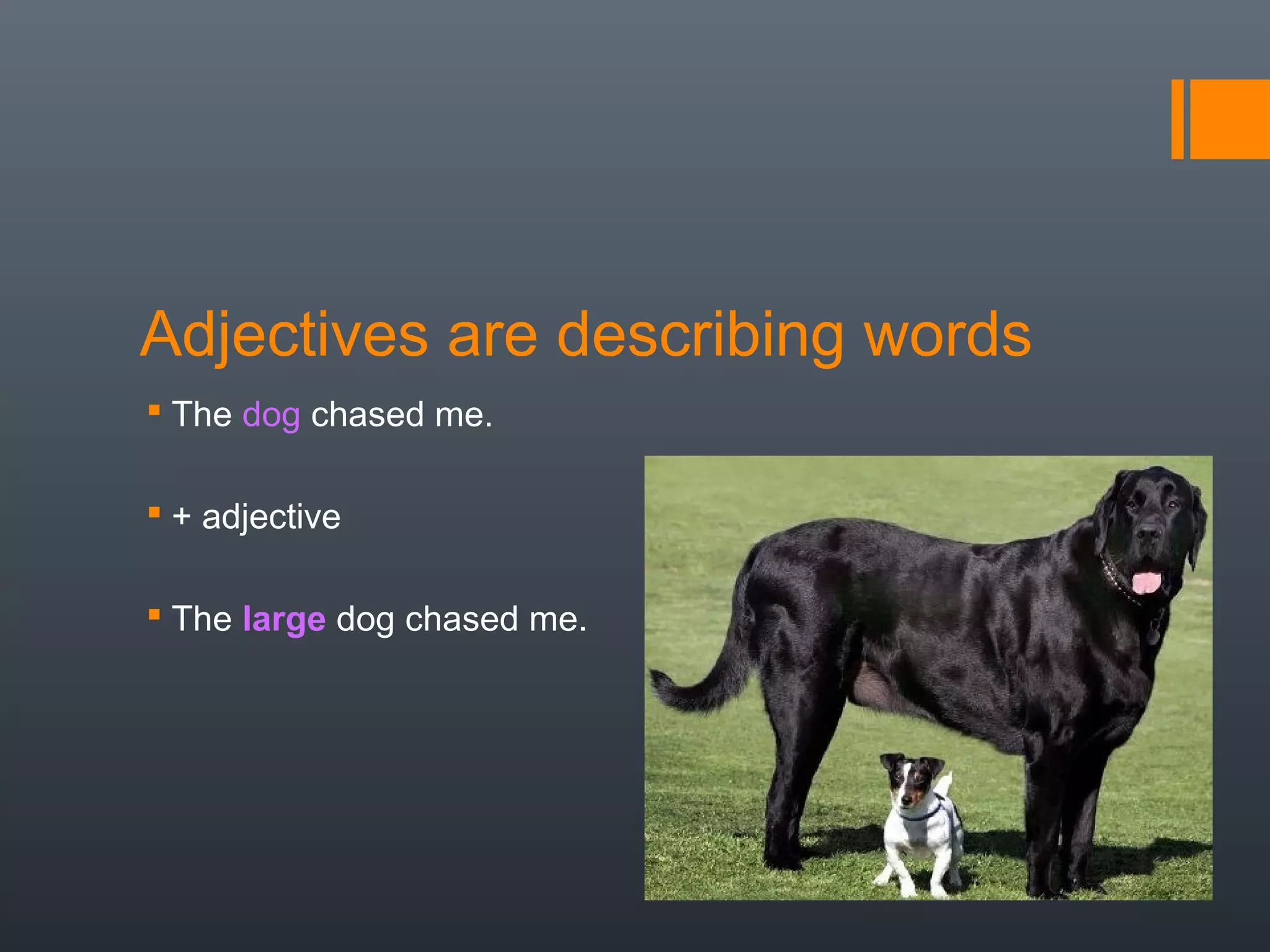 Describing words | PPT