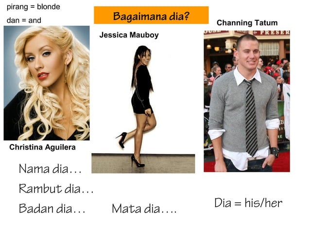 Describing words | PPT