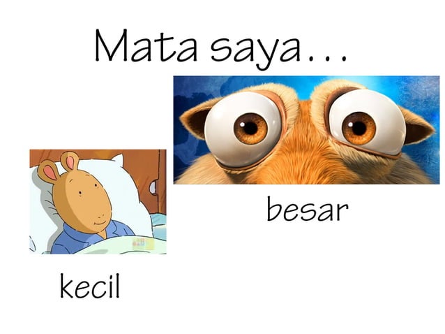 Describing words | PPT