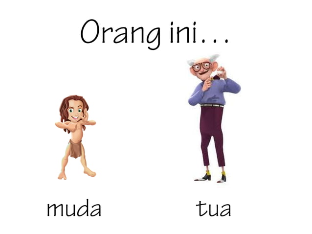 Describing words | PPT