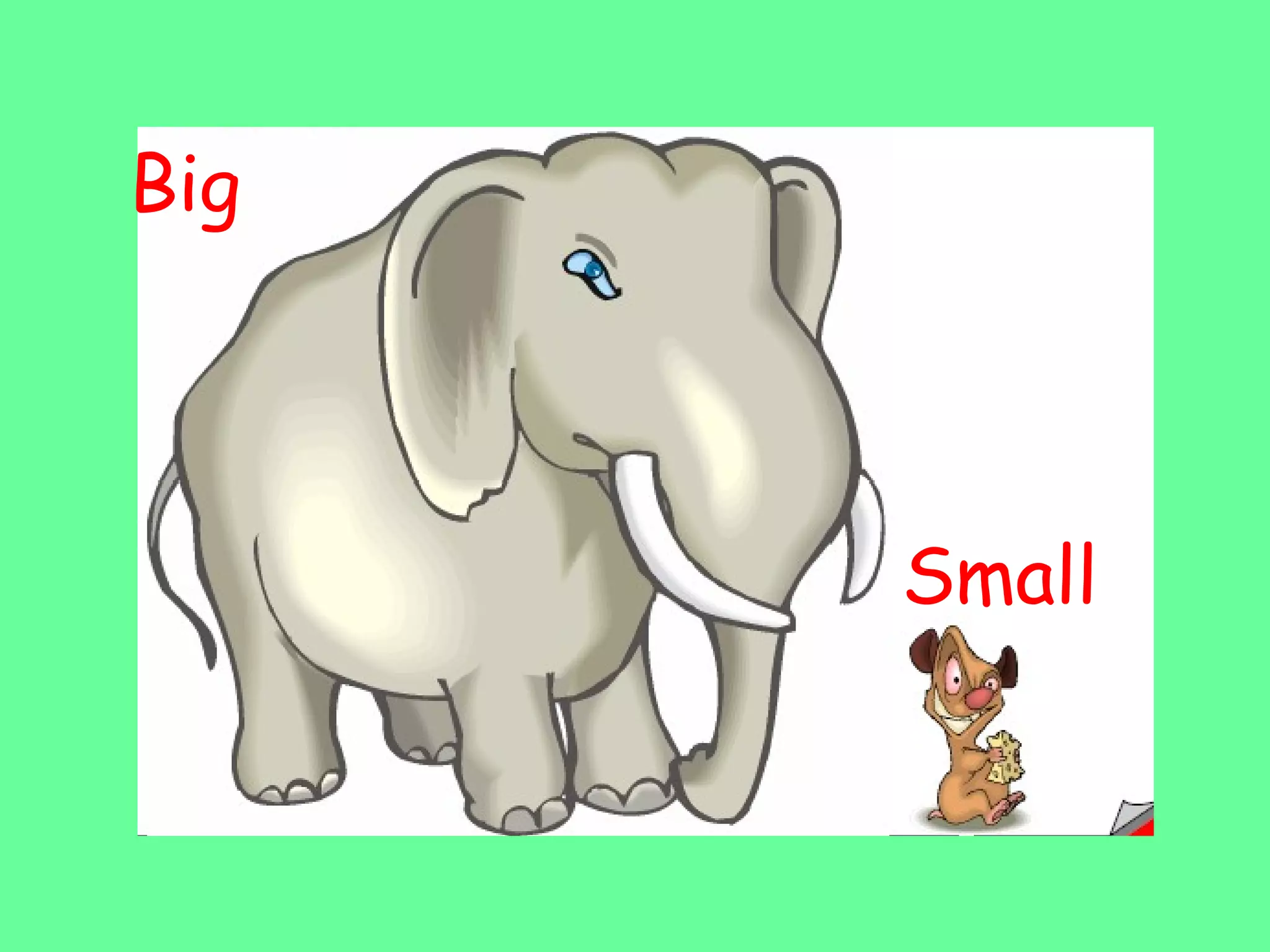 Describing words | PPT