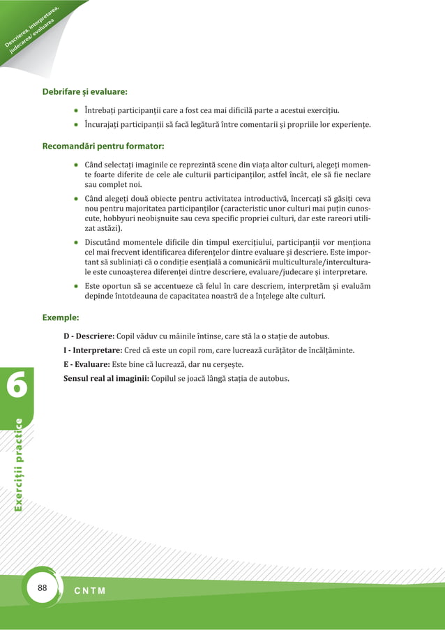 Descrierea, interpretarea, judecata/evalarea | PDF