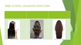 Describir personas en español. (A1-A2) Principiantes | PPTX
