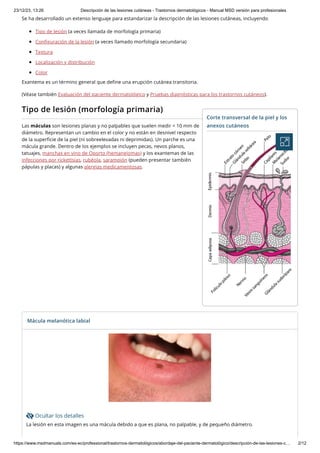 Descripción de las lesiones cutáneas - Trastornos dermatológicos ...