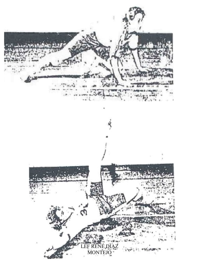 Descripcion de las posiciones en voleibol | PDF | Free Download