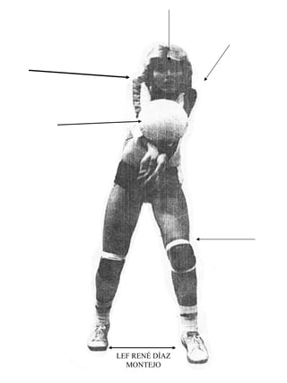 Descripcion de las posiciones en voleibol | PDF