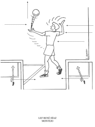 Descripcion de las posiciones en voleibol | PDF