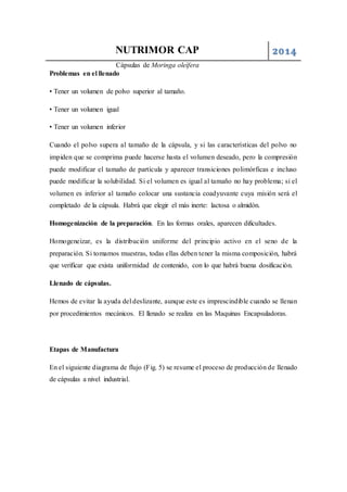 Descripcion del proceso de laboracion del producto | DOCX
