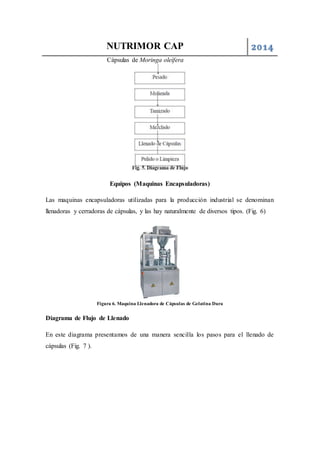 Descripcion del proceso de laboracion del producto | DOCX