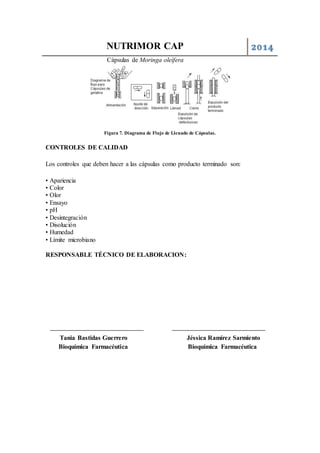 Descripcion del proceso de laboracion del producto | DOCX