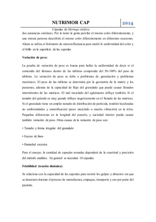 Descripcion del proceso de laboracion del producto | DOCX
