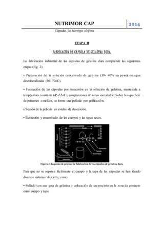 Descripcion del proceso de laboracion del producto | DOCX