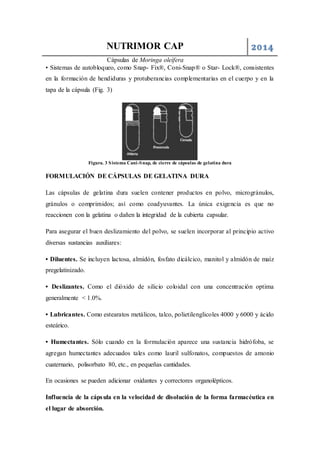 Descripcion del proceso de laboracion del producto | DOCX