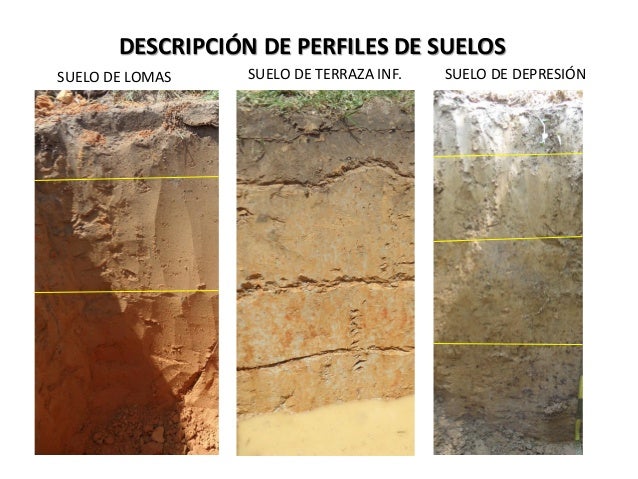 Descripción de perfiles de suelos