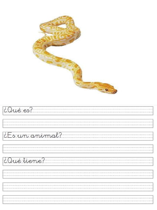 Descripción de animales | PPT