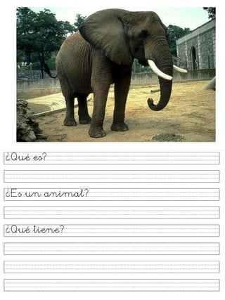 Descripción animales | PPTX