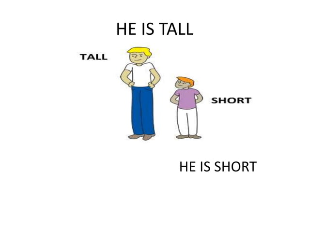 Description explanation 1 | PPT