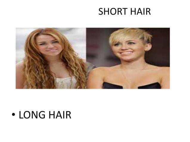 Description explanation 1 | PPT