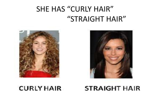 Description explanation 1 | PPT