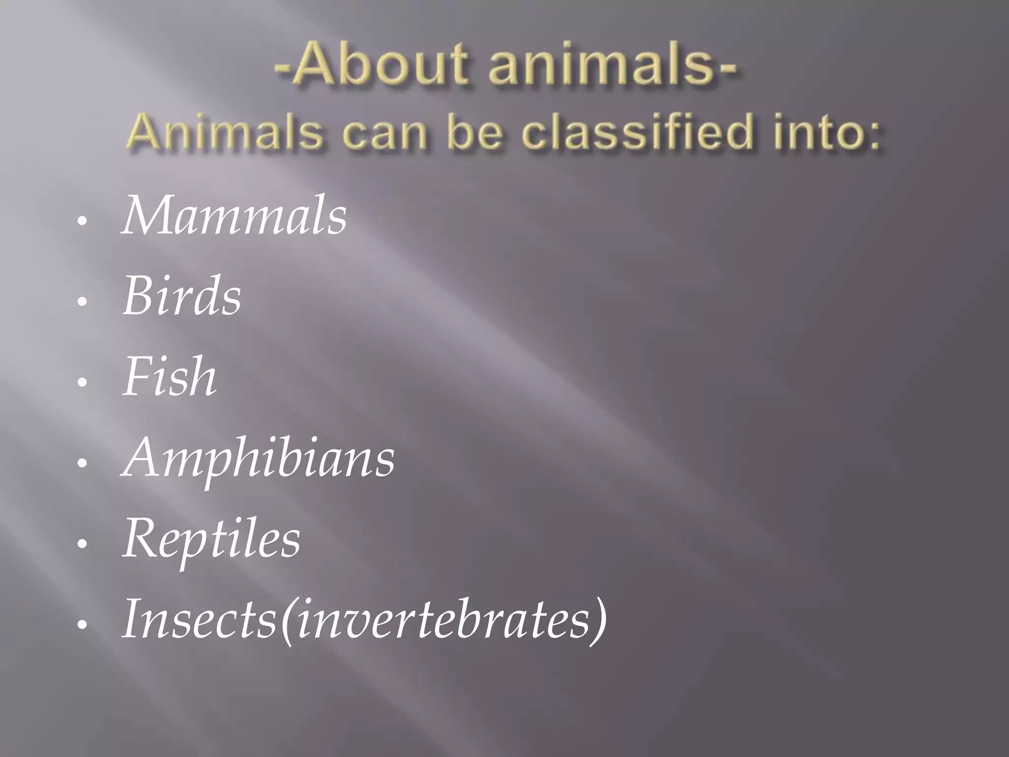 Description of Animals | PPT