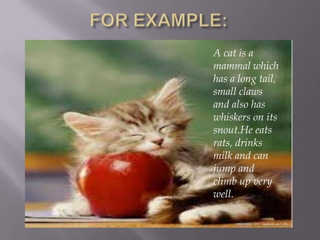 Description of Animals | PPTX